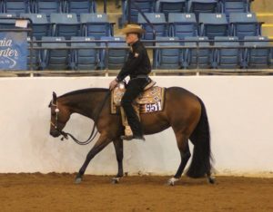 Randy Wilson wins Hylton Maiden aboard Certainly On Sundi | InStrideEdition