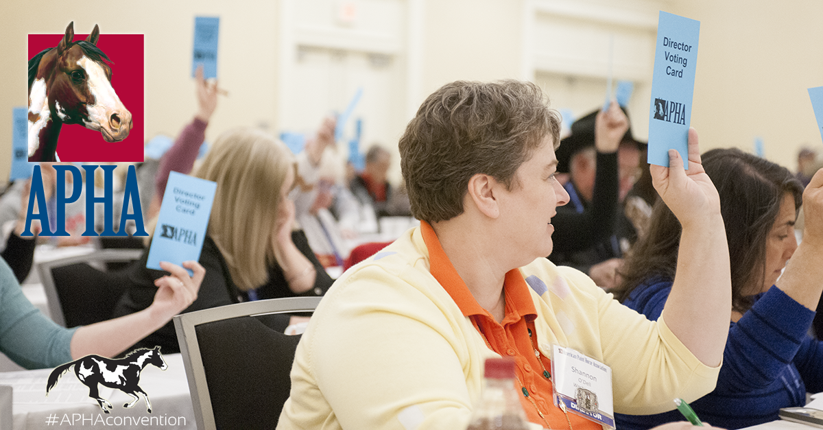 APHA Board of Directors Pass New Rules at 2015 Convention | InStrideEdition