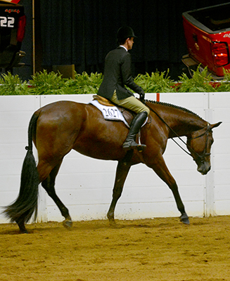 Starnes and Case claim fourth Masters titles with wins at Congress ...