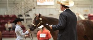 Five new AQHA judges appointed | InStrideEdition