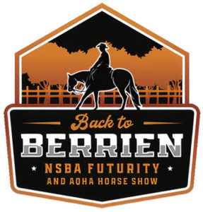 Gearing Up To Go “Back To Berrien” | InStrideEdition
