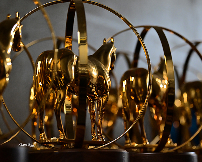 AQHA lists event dates for 2023 | InStrideEdition