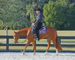 Casey Willis and Feeling Groovy: Now at home at Stoneridge Farms in ...